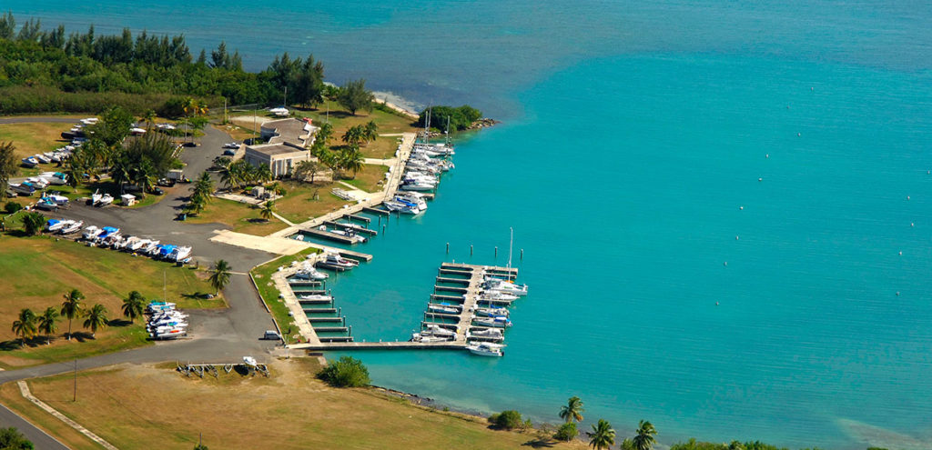 Ceiba, Puerto Rico – Los Come Sopas | BoricuaOnLine.com