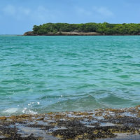 Playa Vacía Talega - Loíza, Puerto Rico | BoricuaOnline.com