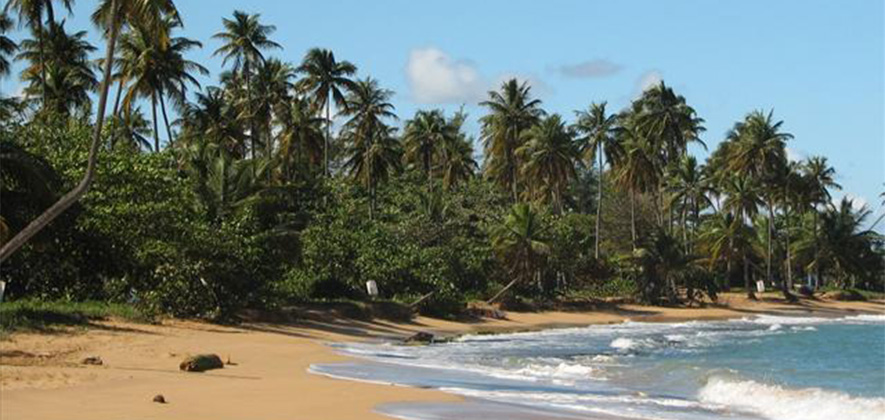 Vacía Talega Beach - Loíza, Puerto Rico | BoricuaOnline.com