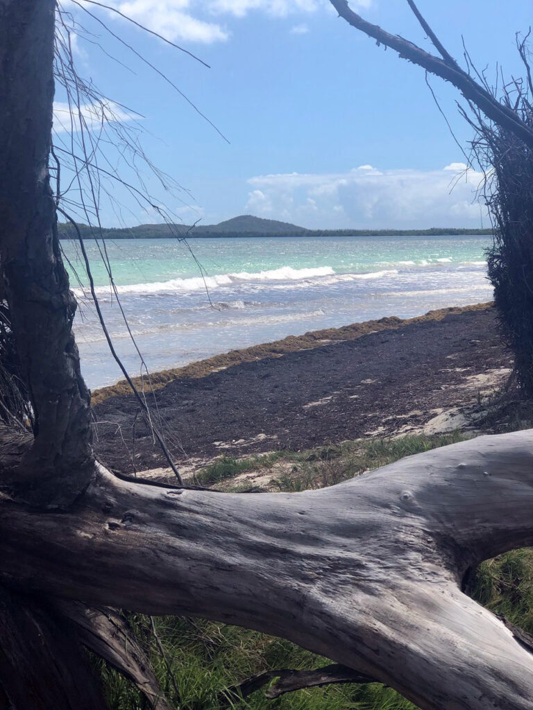 Playa Medio Mundo, Ceiba, Puerto Rico | BoricuaOnline.com